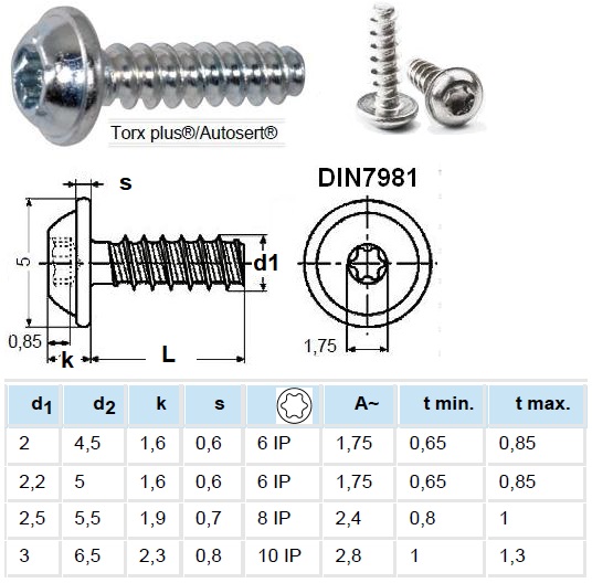 Tornillos Rosca plástico M2 Torx Din7981